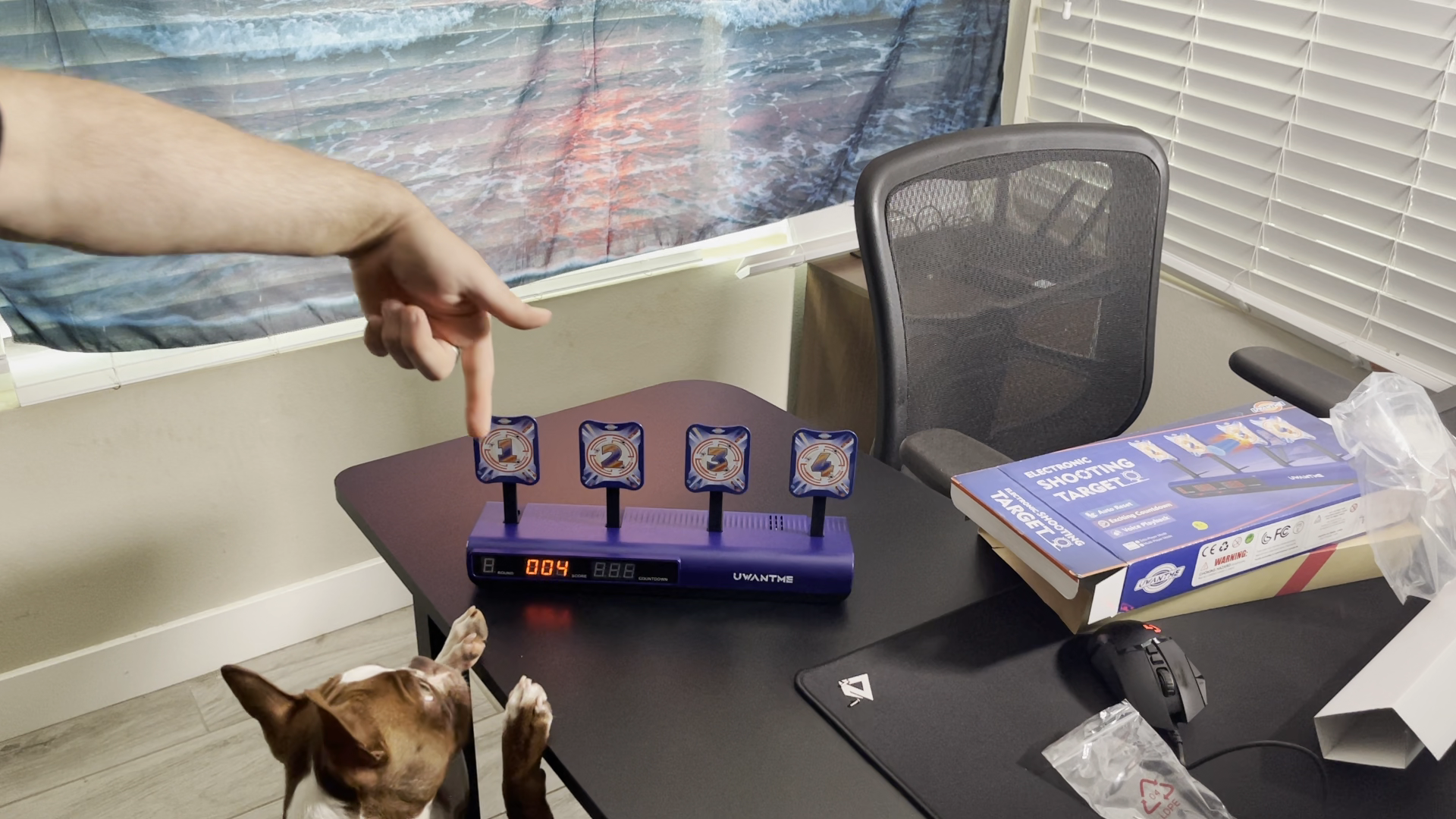 Watch UWANTME Electronic Target Game Fun with Automatic Reset on Amazon ...