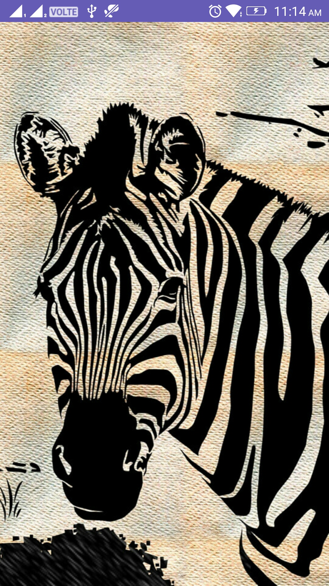 Zebra 4k Wallpaper - App on Amazon Appstore