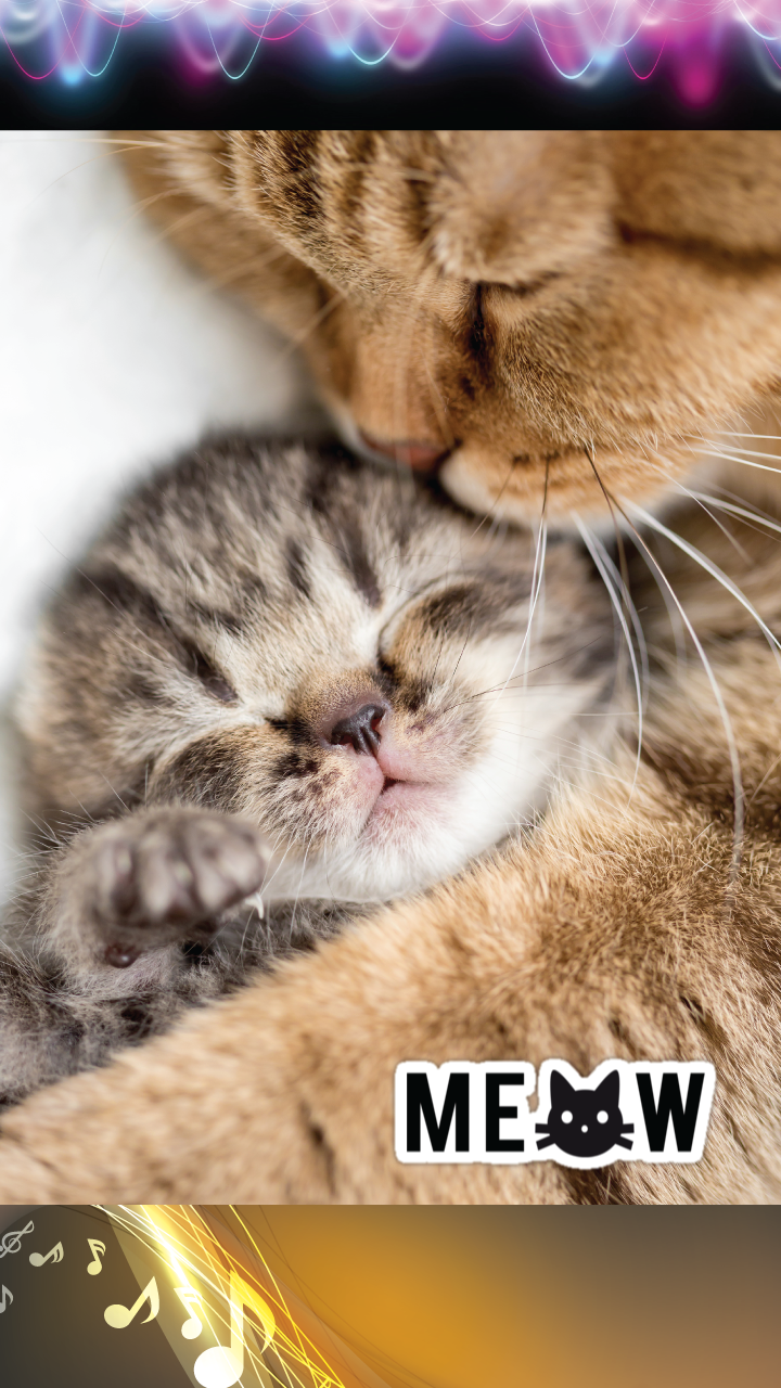 Kitty Sounds Games:Amazon.com.br:Appstore for Android