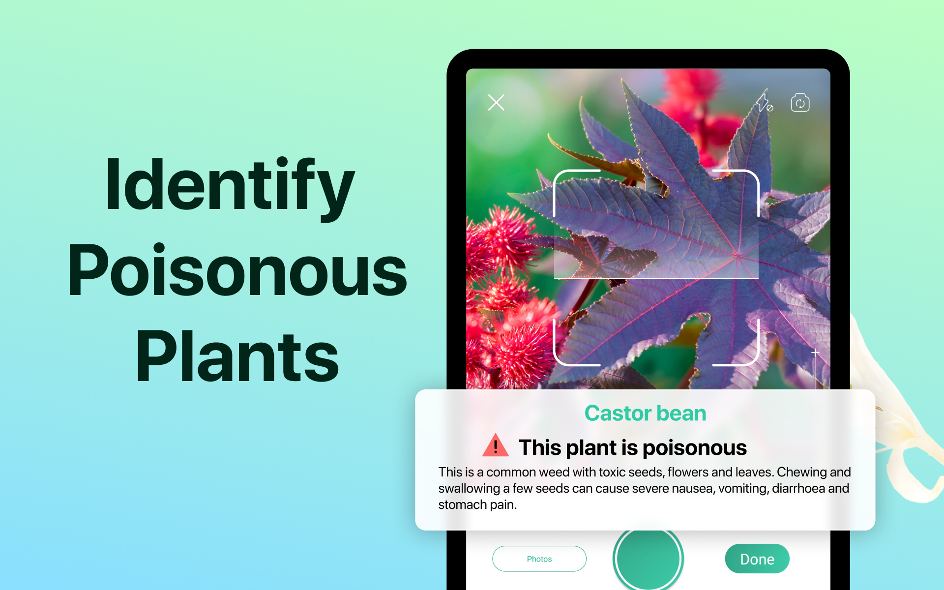 PictureThis - Plant Identifier - App on Amazon Appstore