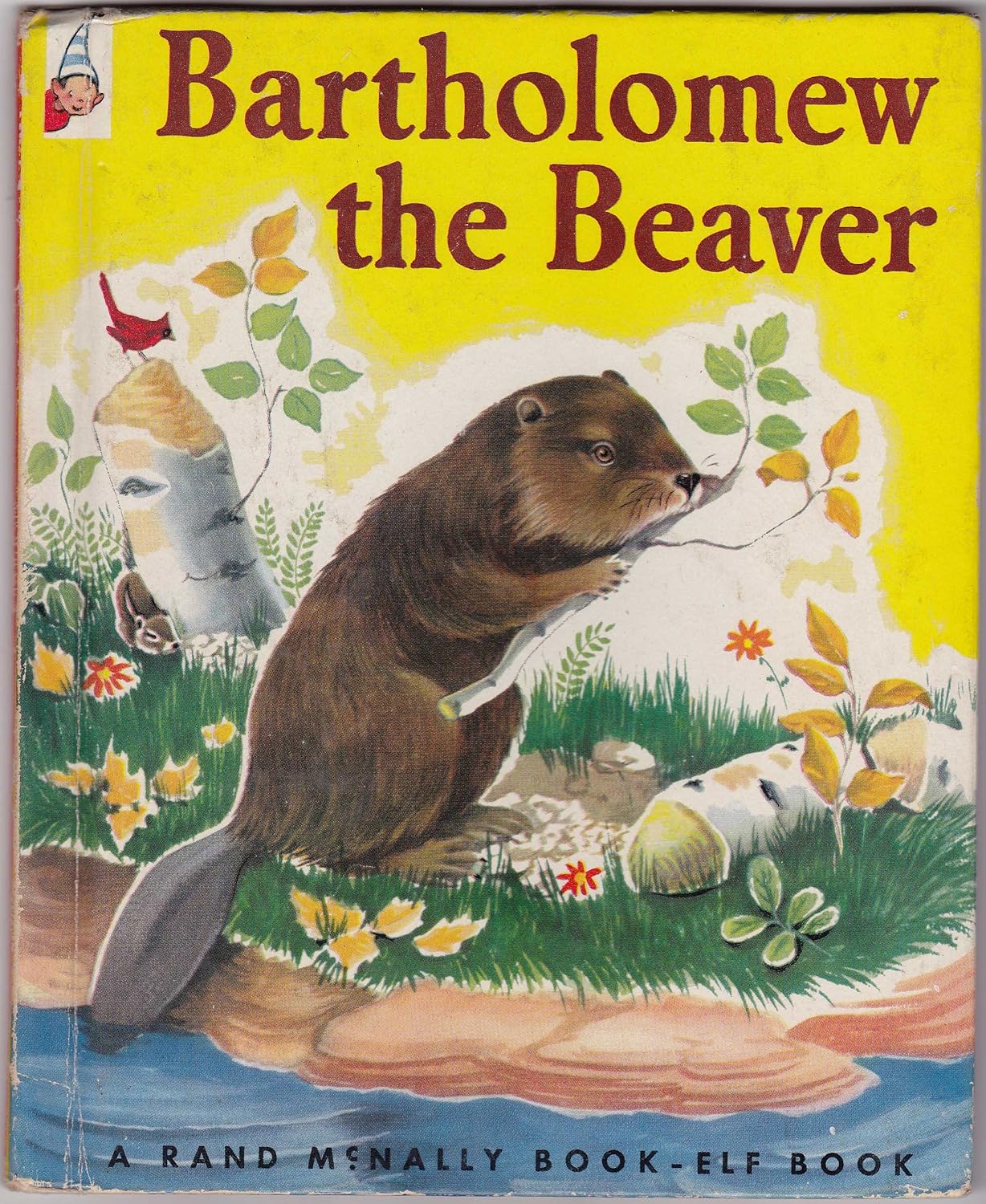 Bartholomew the Beaver: Dixon, Ruth: Amazon.com: Books