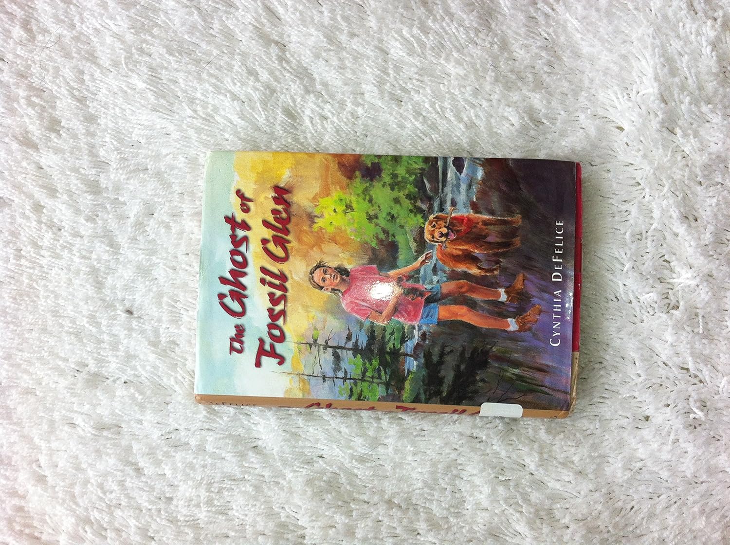 The Ghost of Fossil Glen (Ghost Mysteries): DeFelice, Cynthia ...