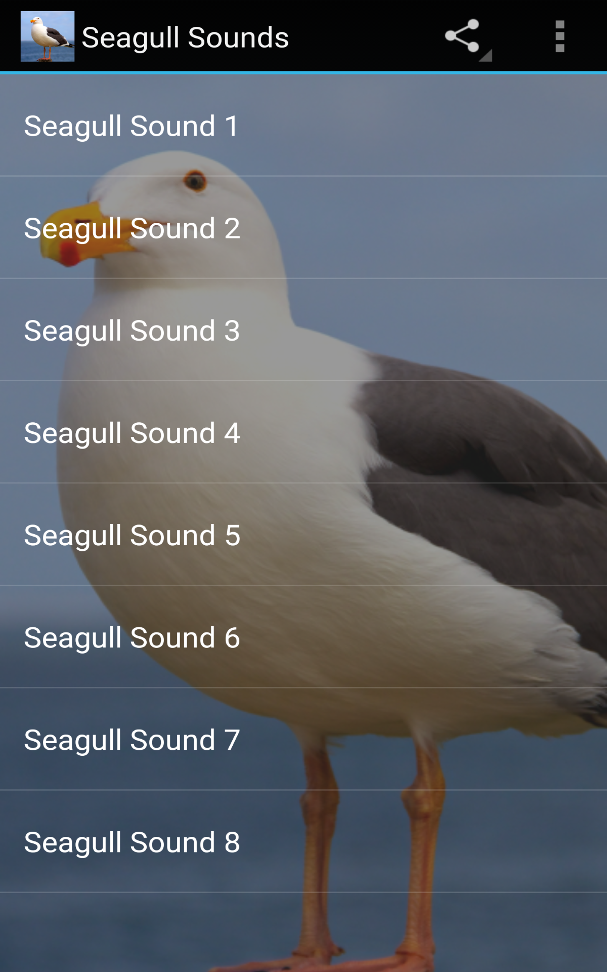 Seagull Sounds - App on Amazon Appstore