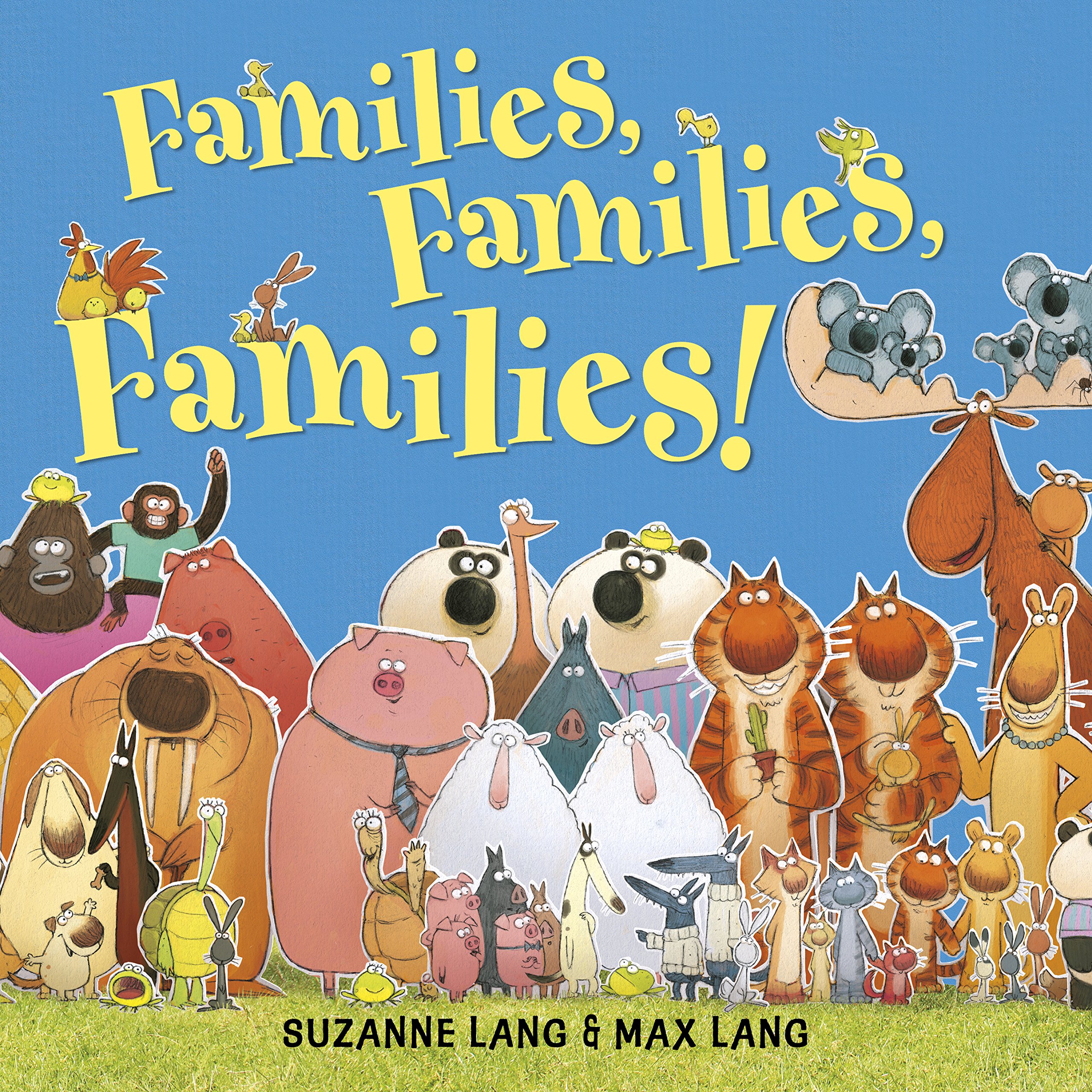 Amazon.com: Families Families Families: 9780552572927: Lang, Suzanne ...