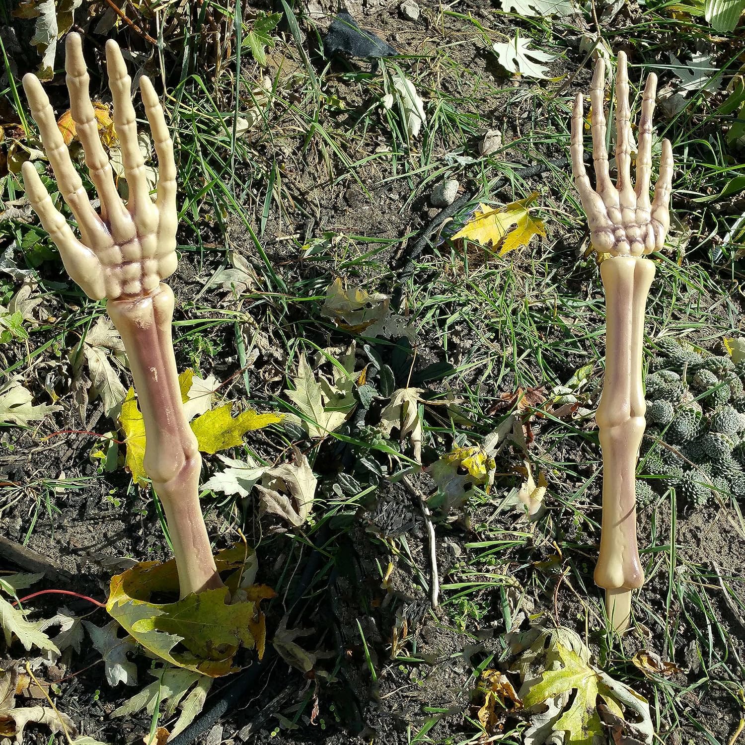 Amazon.com: Halloween Skeleton Stakes Decorations, Creepy Hands Arms ...