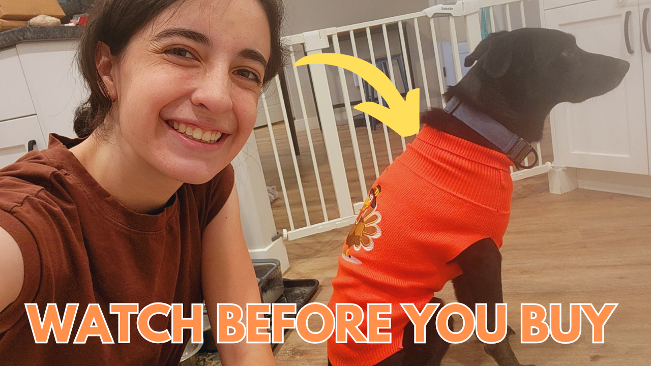 Watch Honest Review of Dog Sweater #ad on Amazon Live