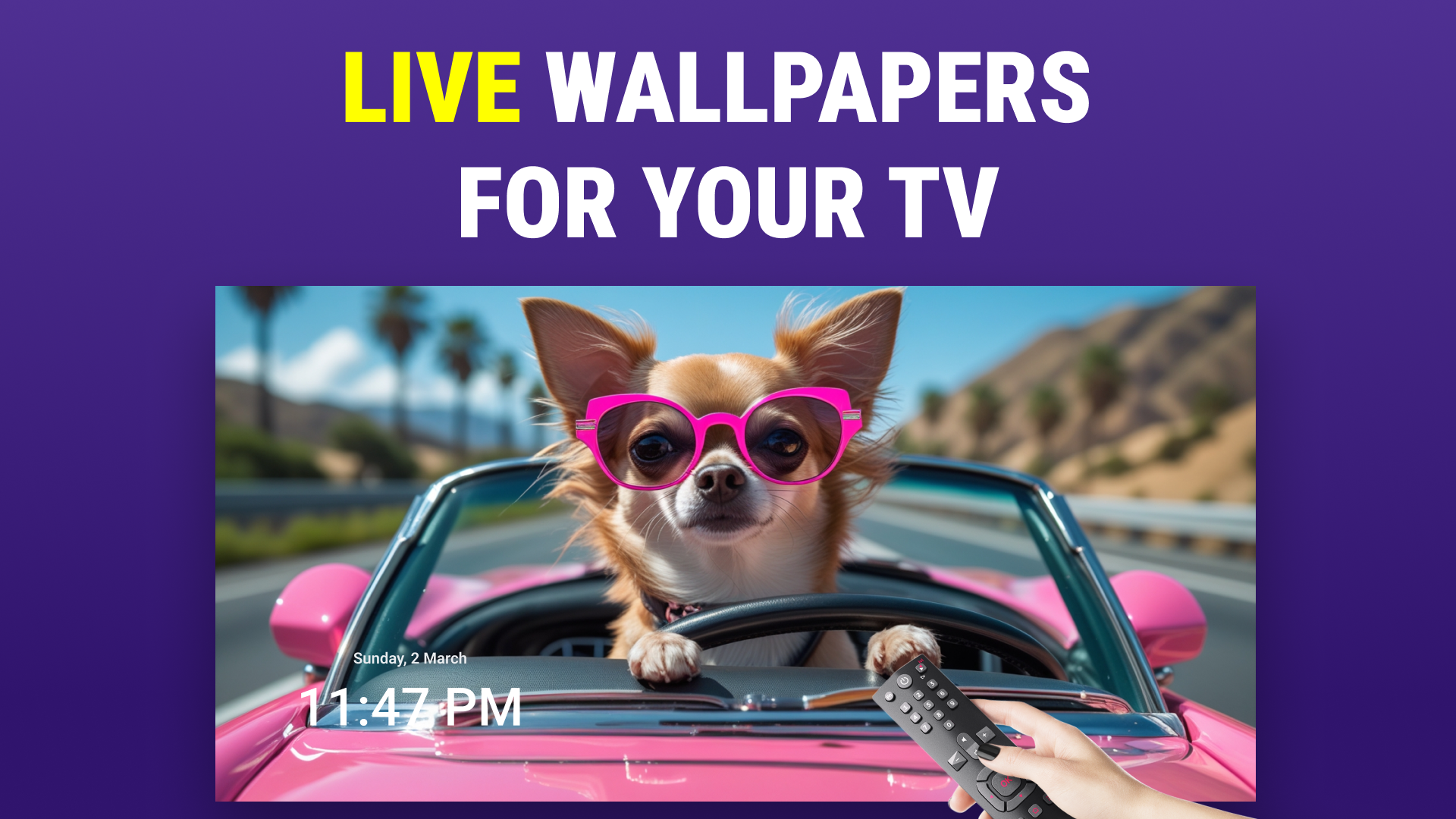 Dog Breeds Wallpapers 4K – Cute Puppies, Live Pet Backgrounds & Funny ...