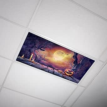 Octo Lights Fluorescent Light Covers for Ceiling Lights Classroom 2x4 ...