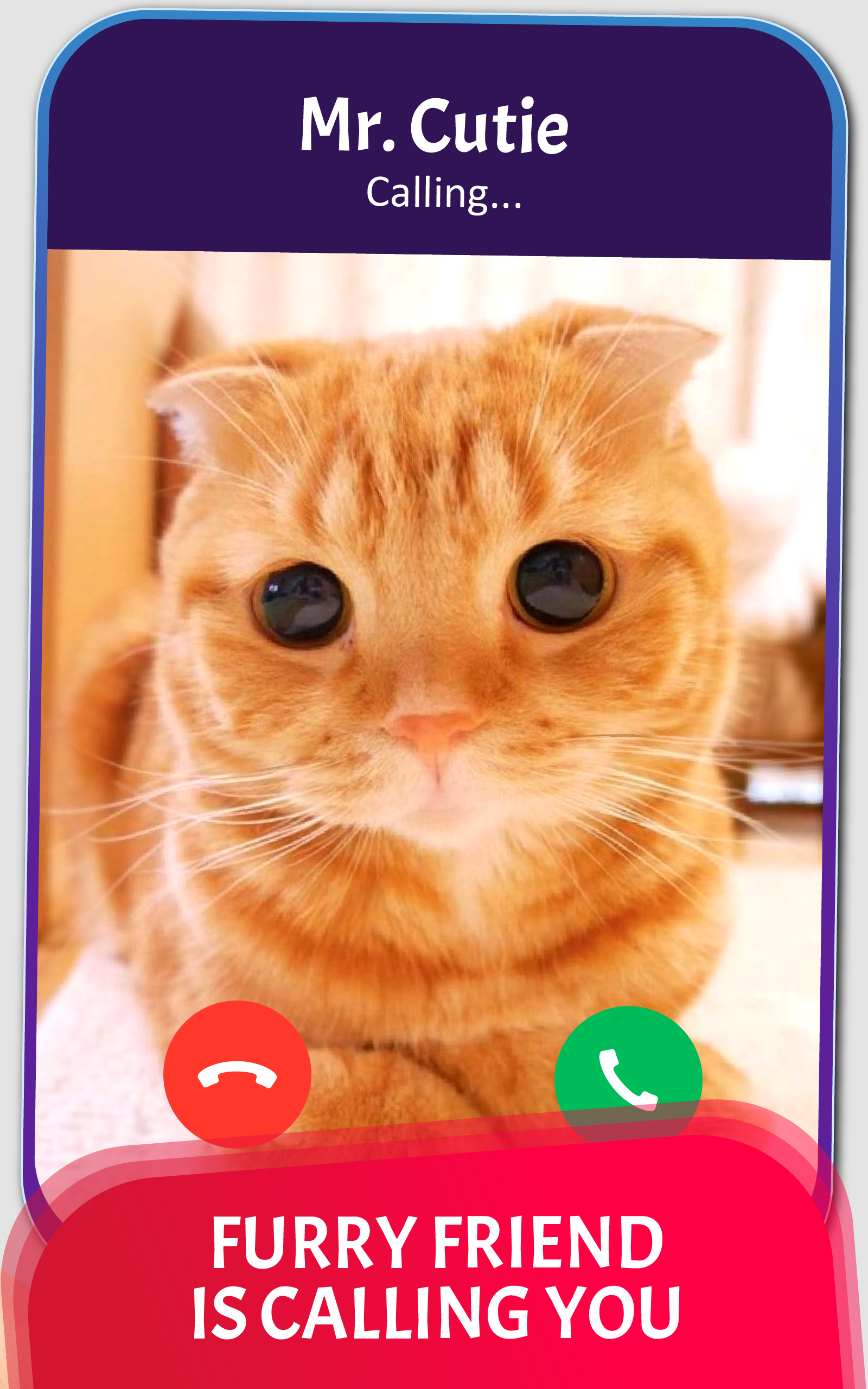 Fake Call: Cat - App on Amazon Appstore