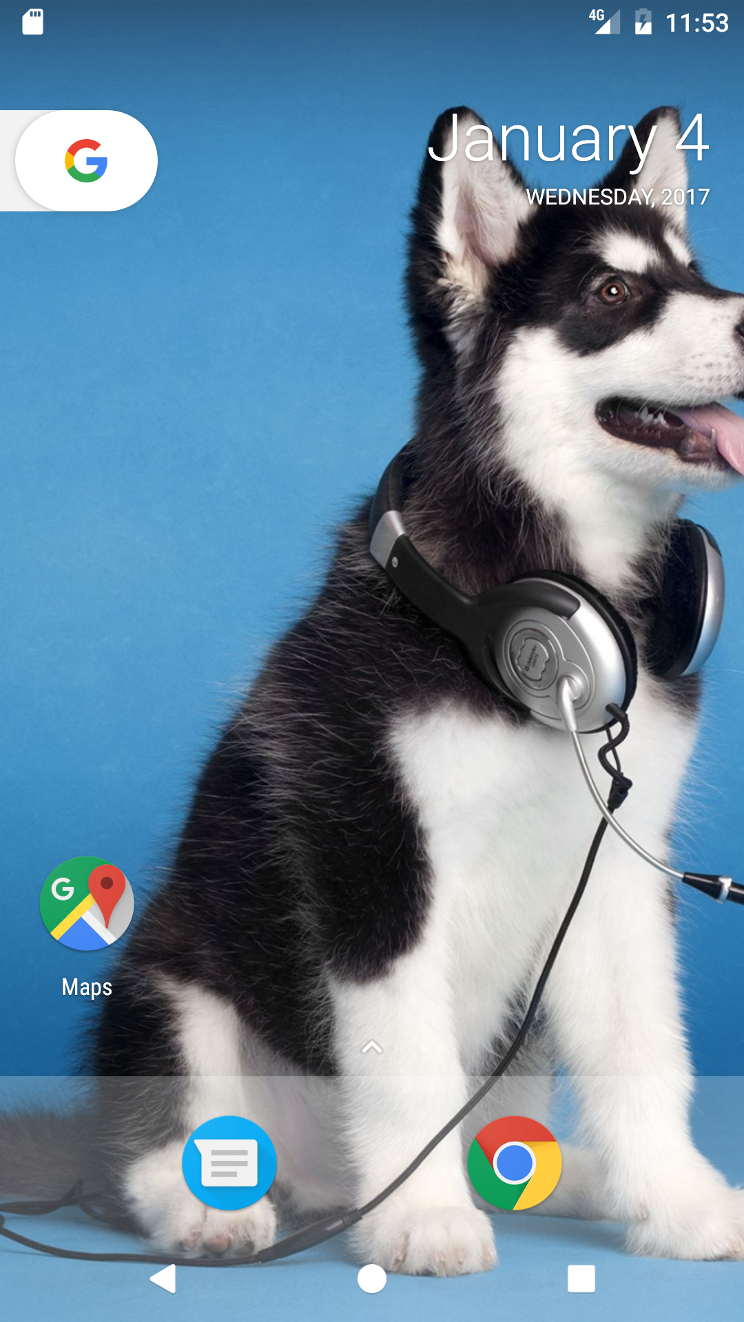 Husky Pup Wallpapers HD - App on Amazon Appstore