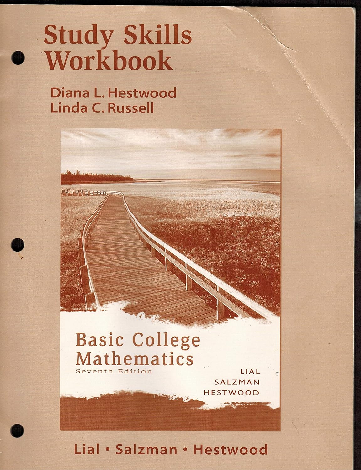 Study Skills Workbook for Basic College Mathematics: Lial, Margaret L ...