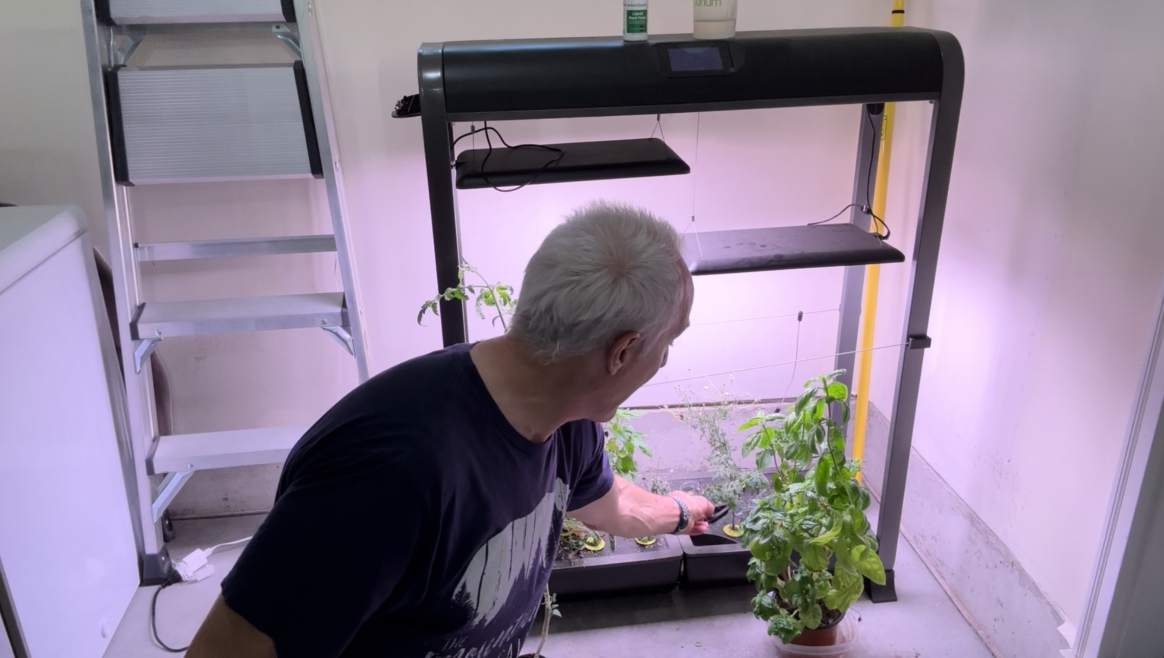 Watch Honest Review of AeroGarden Farm 24XL with Salad Bar Seed Pod Kit ...