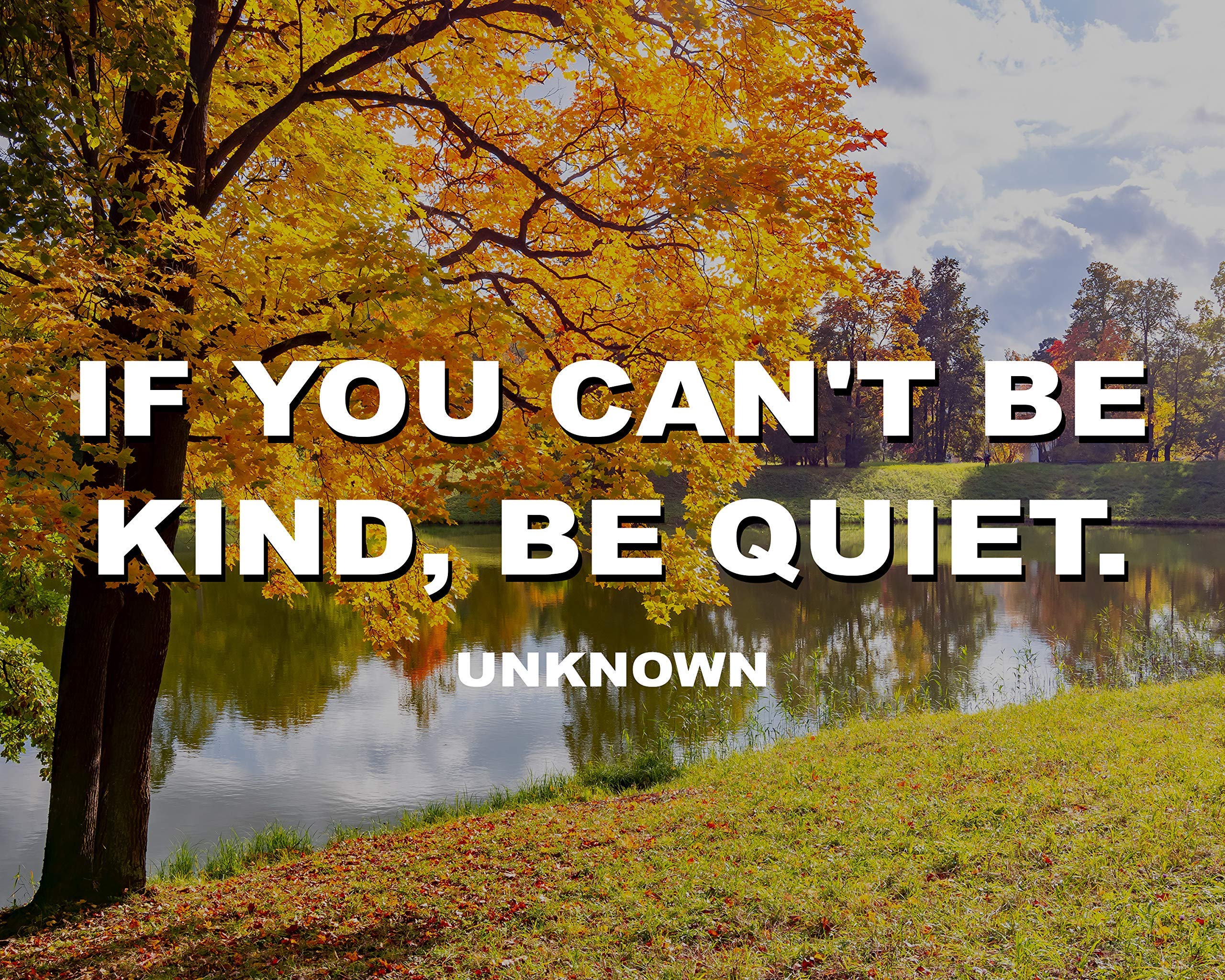 If You Cant Be Kind Be Quiet Inspirational Wall Art | Desertcart South ...