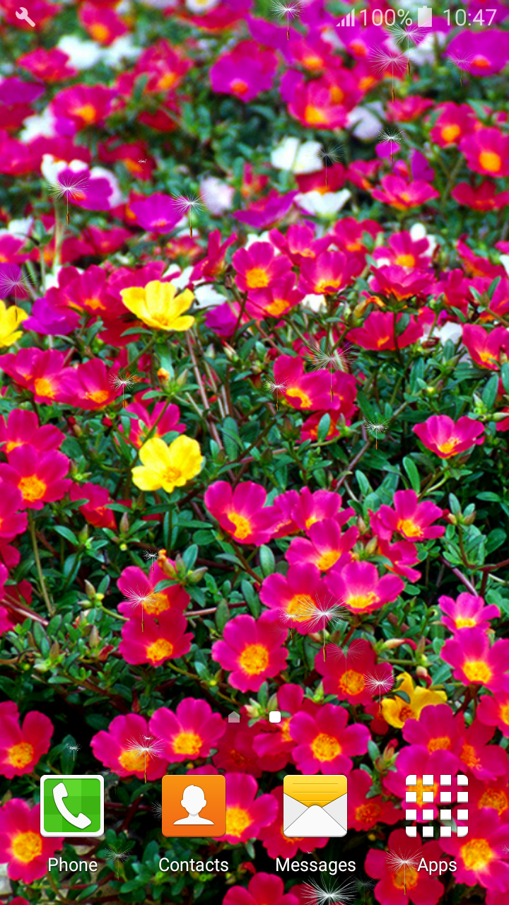Wildflowers Live Wallpapers - App on the Amazon Appstore