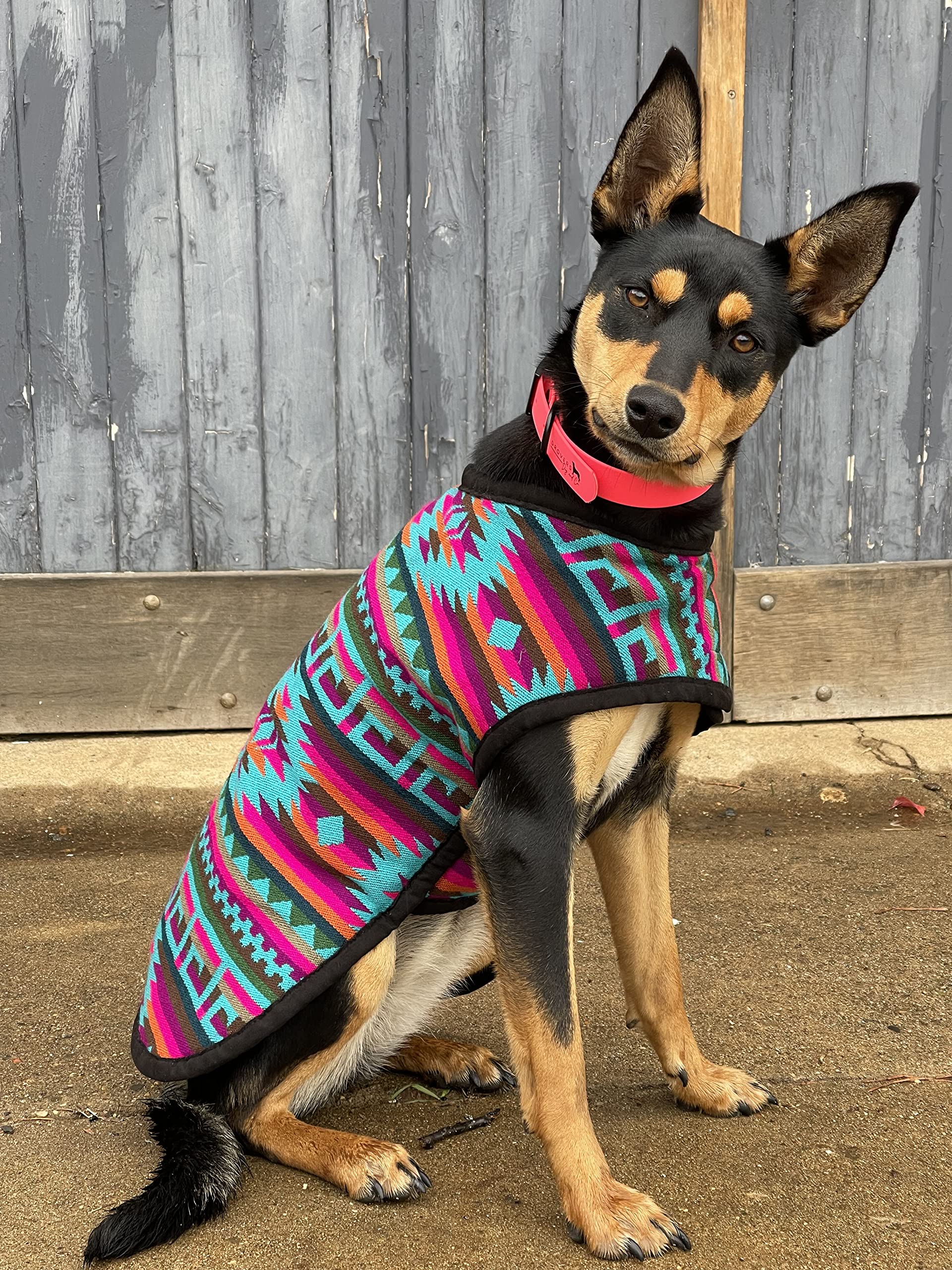 Amazon.com : Chilly Dog 300407 Dog Coats, Medium : Pet Supplies