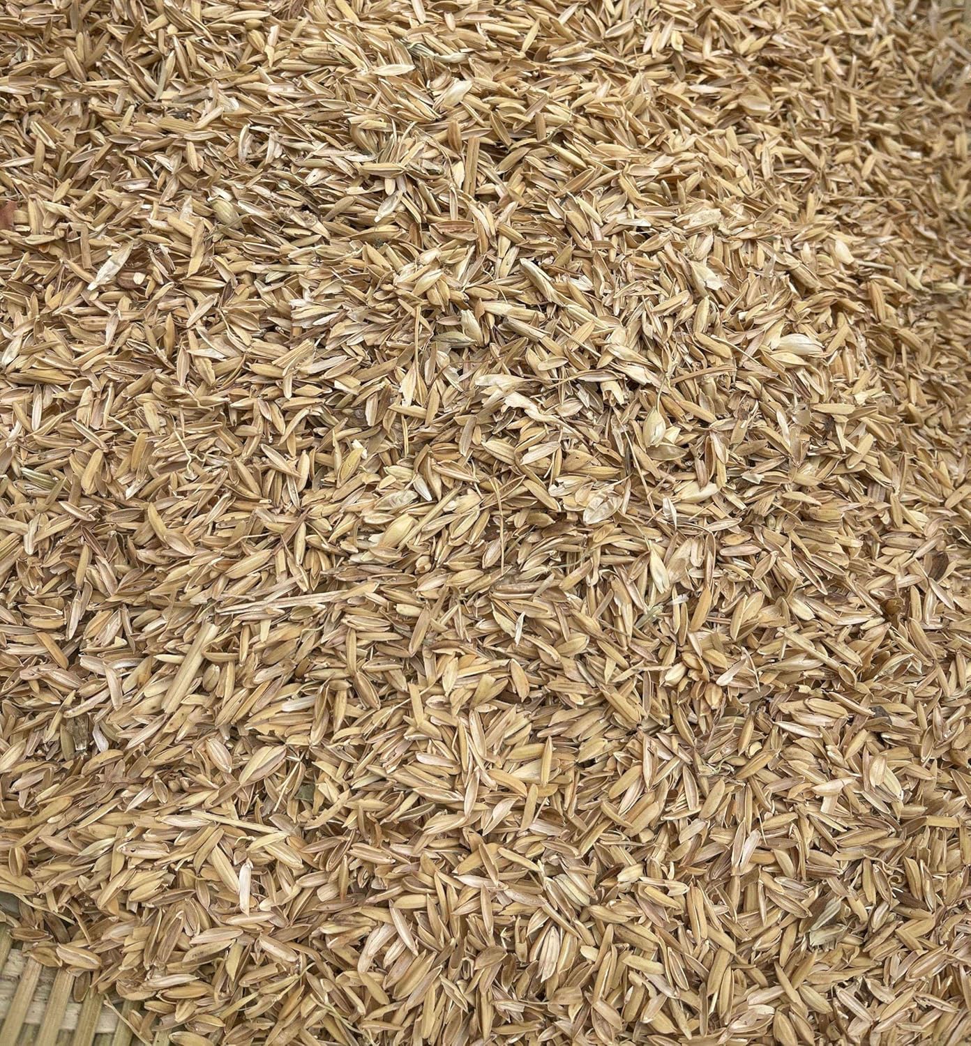 Amazon.com : Organic Rice Hulls (2 Quarts) – Natural Garden Mulch ...