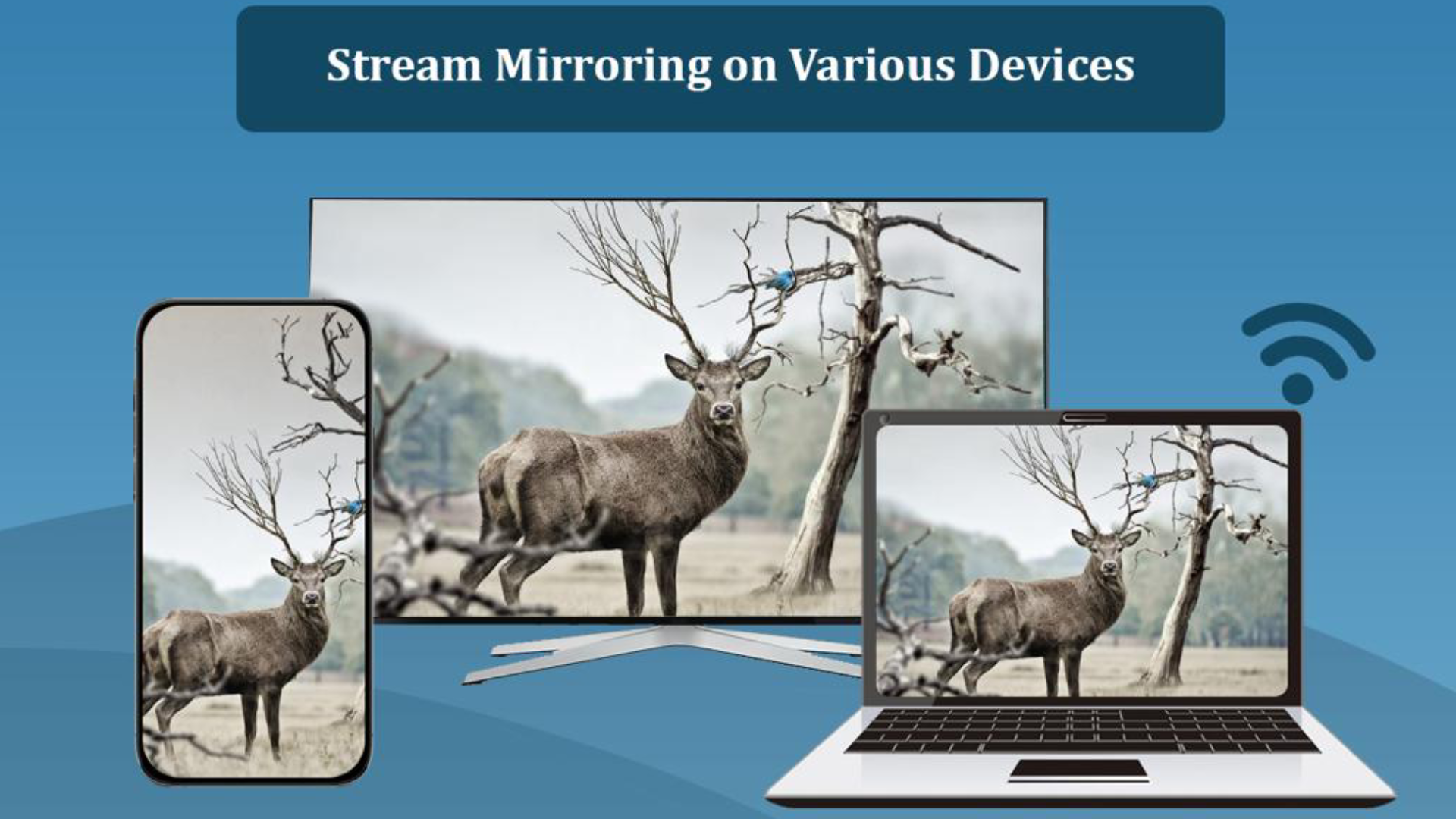 Cast to TV: Chromecast & Screen Mirroring - App on Amazon Appstore