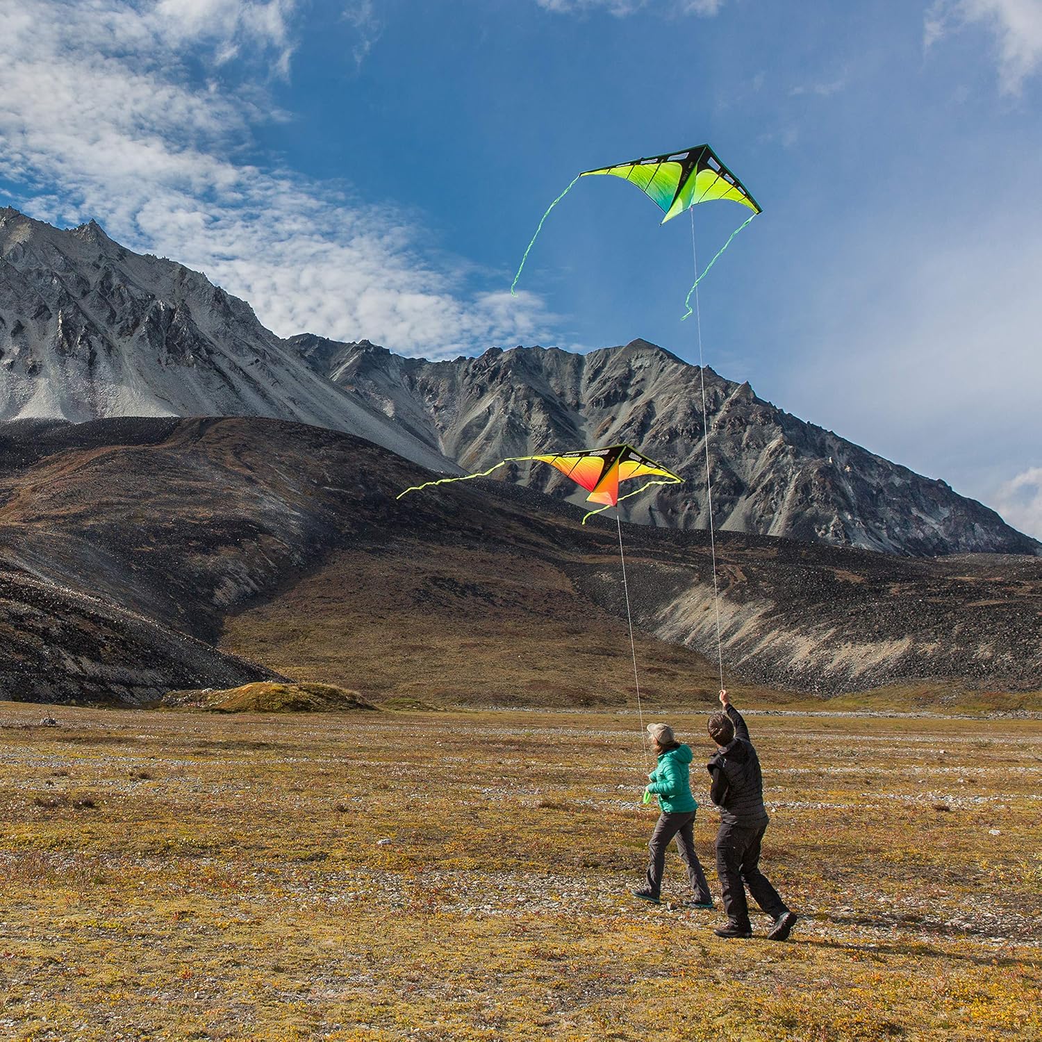 Prism Kite Technology Zenith 7 Aurora Single Line Kite, ready to fly ...