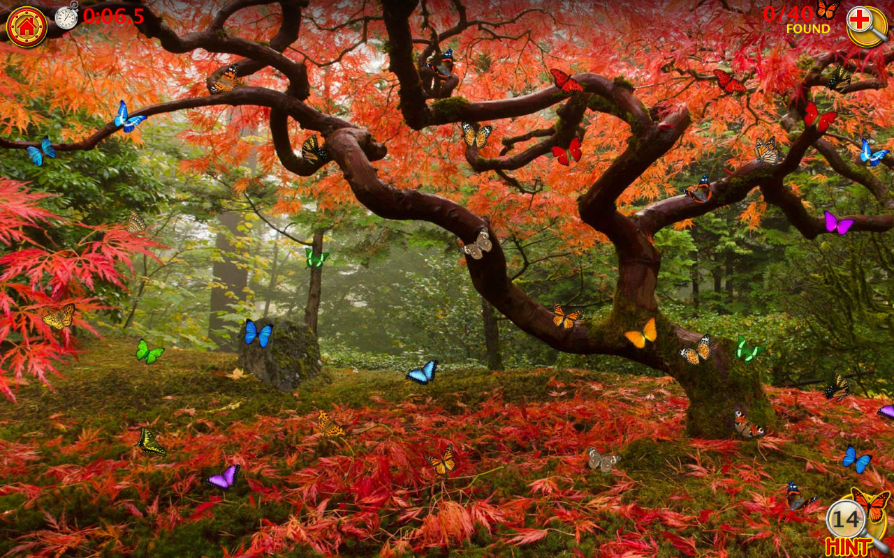 Hidden Objects Quest 3: Touch of Zen - App on Amazon Appstore