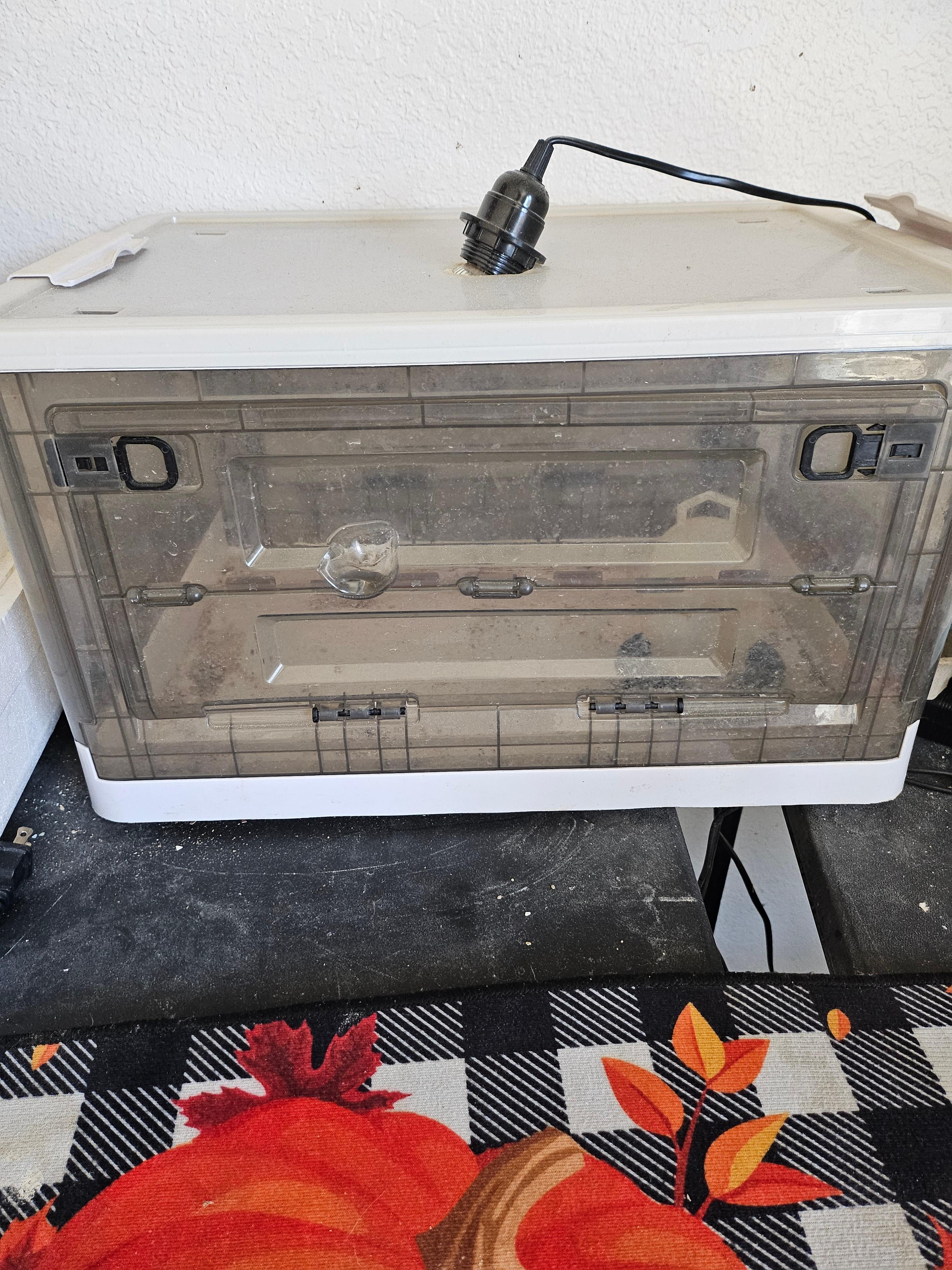 Watch Full Review of Chicken/Quail/Duck Brooder on Amazon Live
