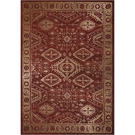 Amazon.com: Luxury Distressed Red Area Rugs for Living Room 5x7 ...
