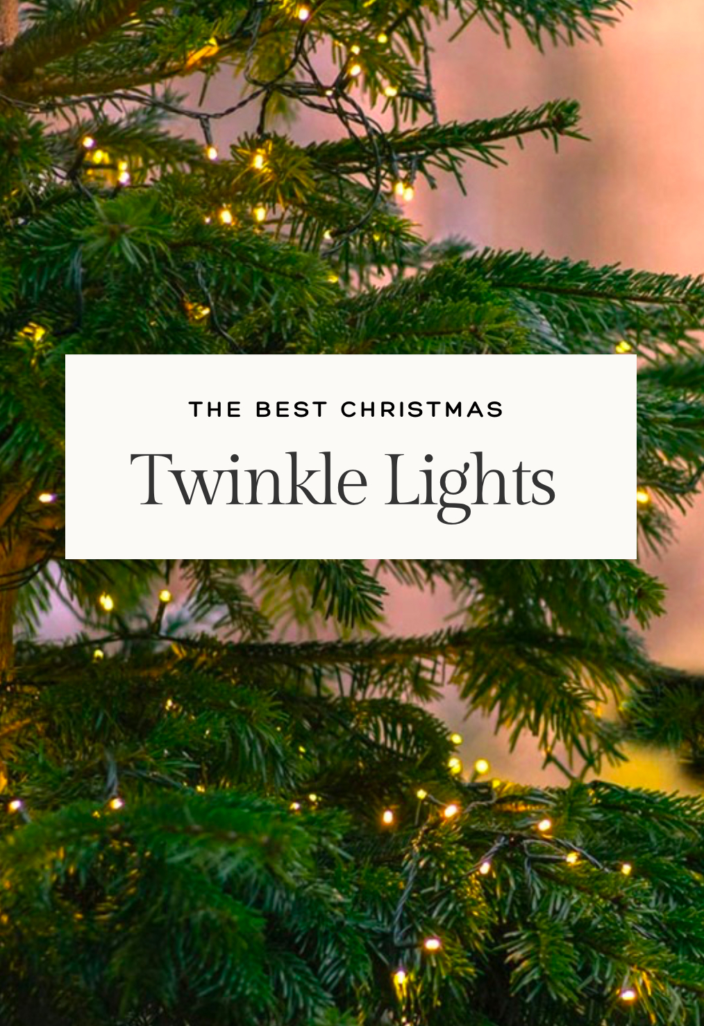 Watch The are the BEST twinkle lights for your Christmas Tree!! So ...