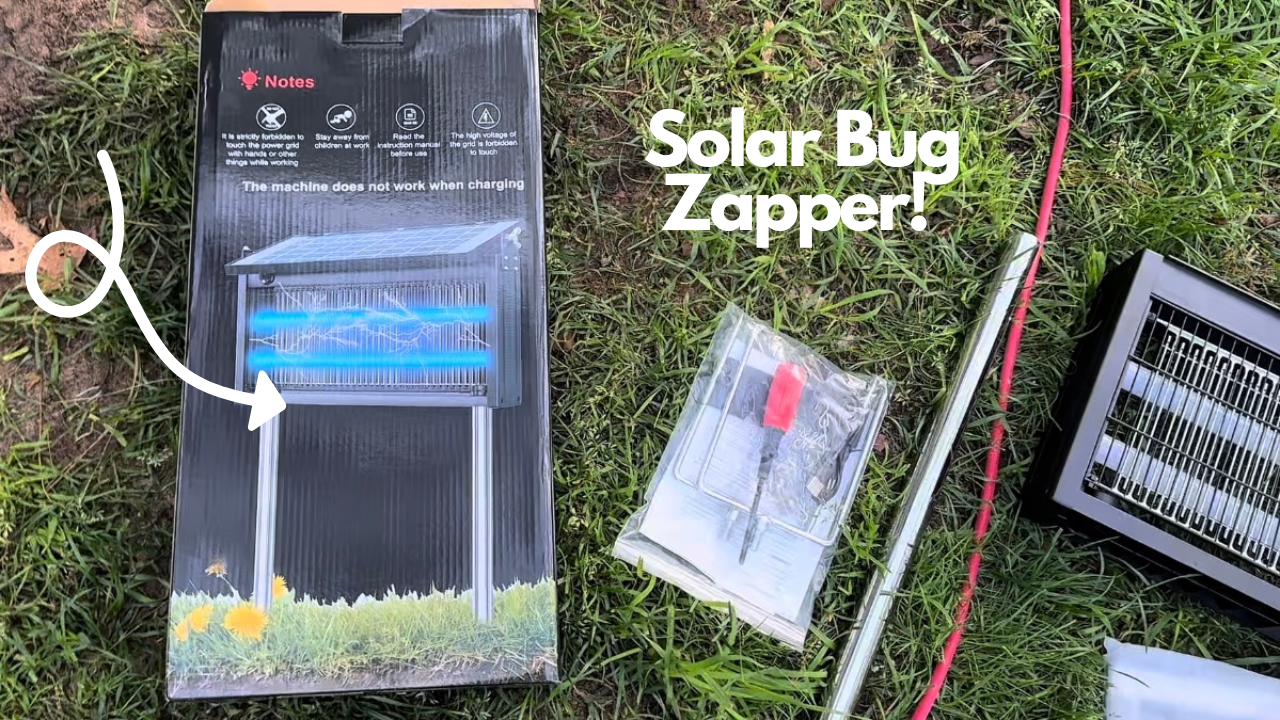 Watch Solar big zapper for a bug free backyard! on Amazon Live