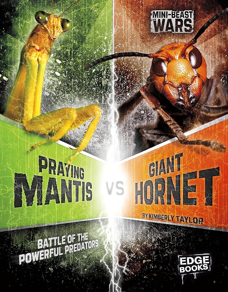 Hornet Vs Praying Mantis