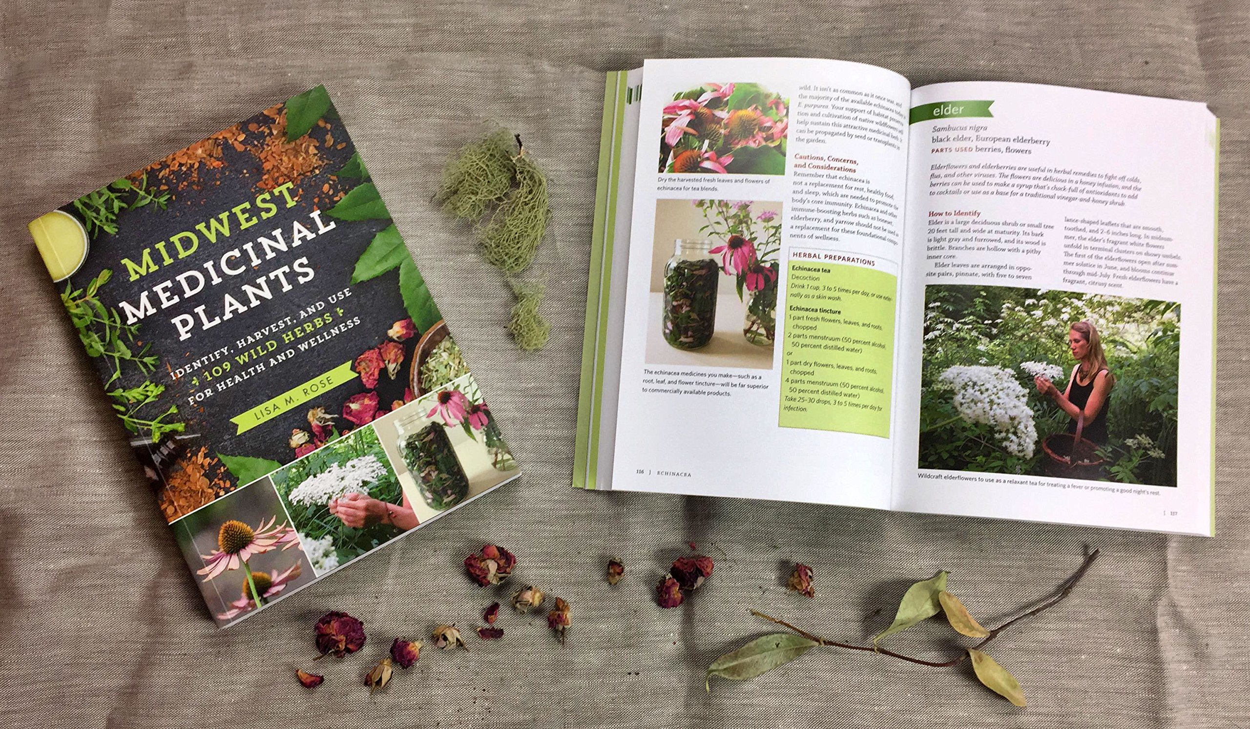 Snapklik.com : Midwest Medicinal Plants: Identify, Harvest, And Use 109 ...