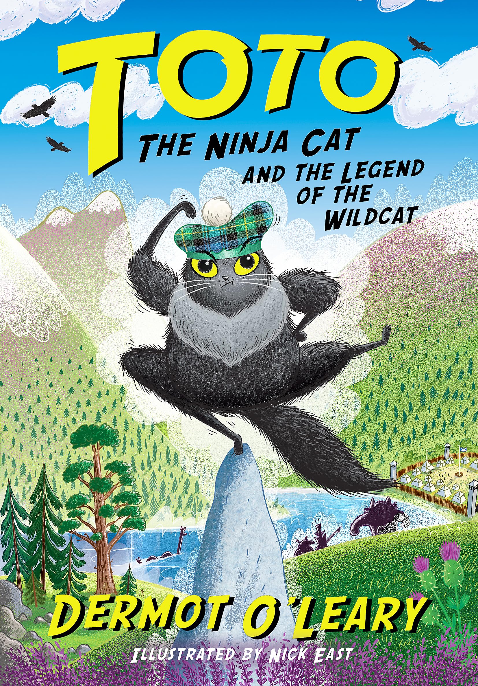 Toto the Ninja Cat 5: Book 5: O’Leary, Dermot: 9781444961676: Amazon ...