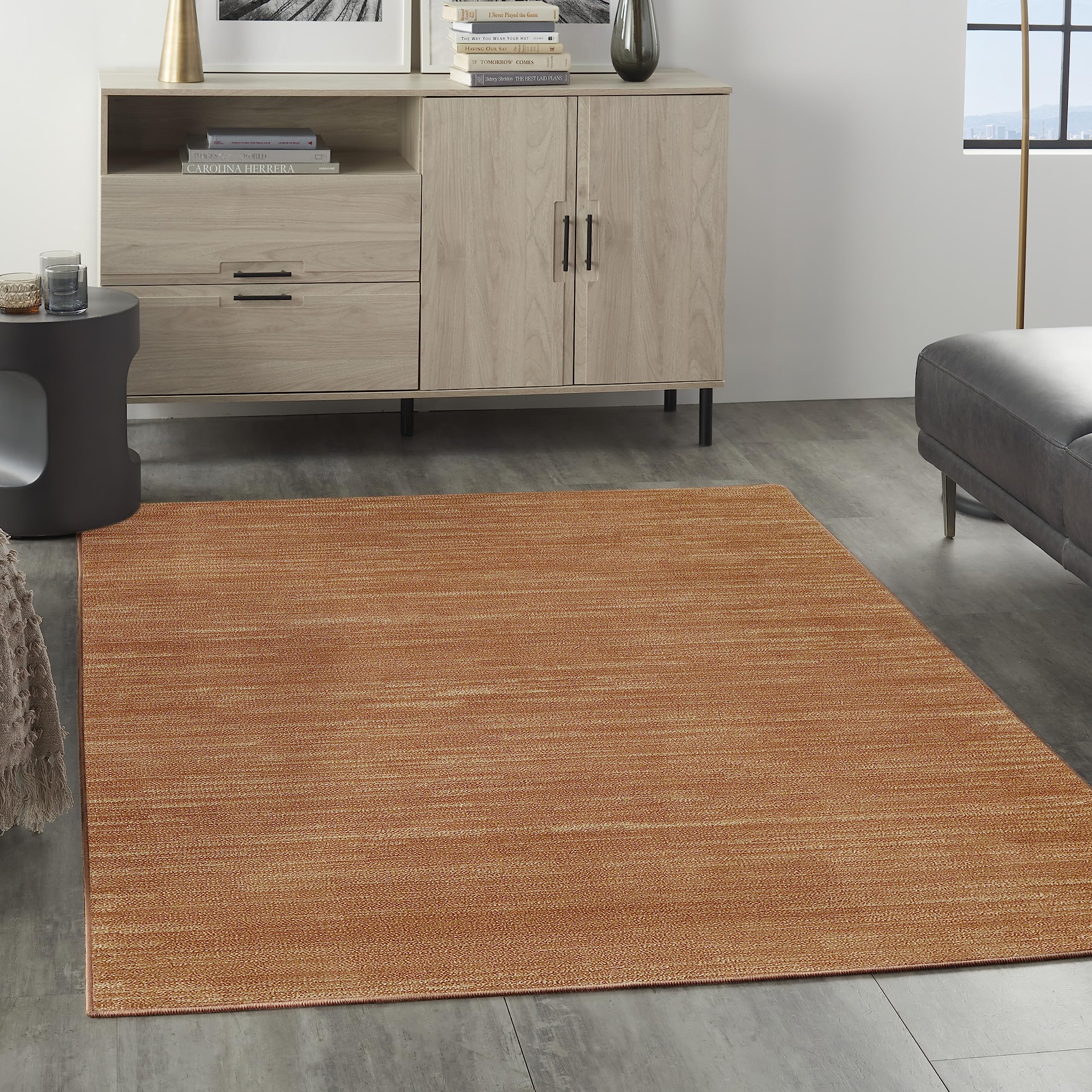 Amazon.com: Nourison Essentials Indoor/Outdoor Rust 5' x 7' Area Rug ...