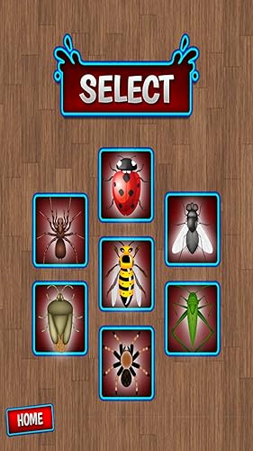 Insect Smasher