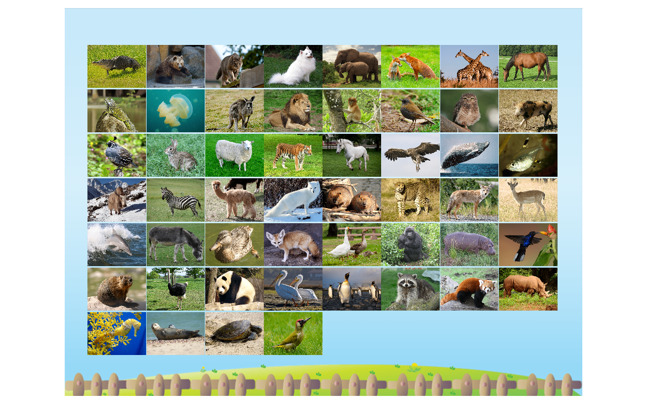 ABC Animal Flashcard Write - App on Amazon Appstore