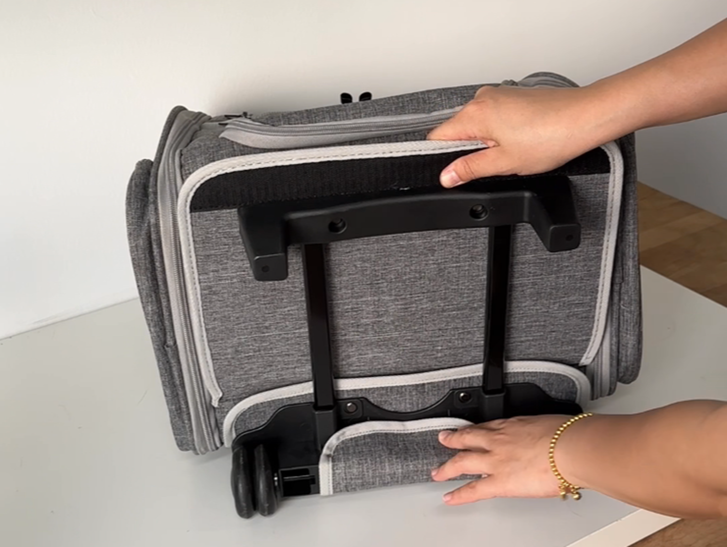 Watch How to install and use this pet roller backpack on Amazon Live