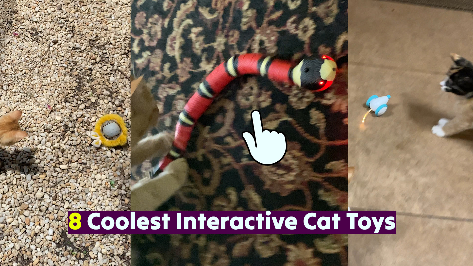 Watch 8 Cool Interactive Cat Toys Tested on Amazon Live