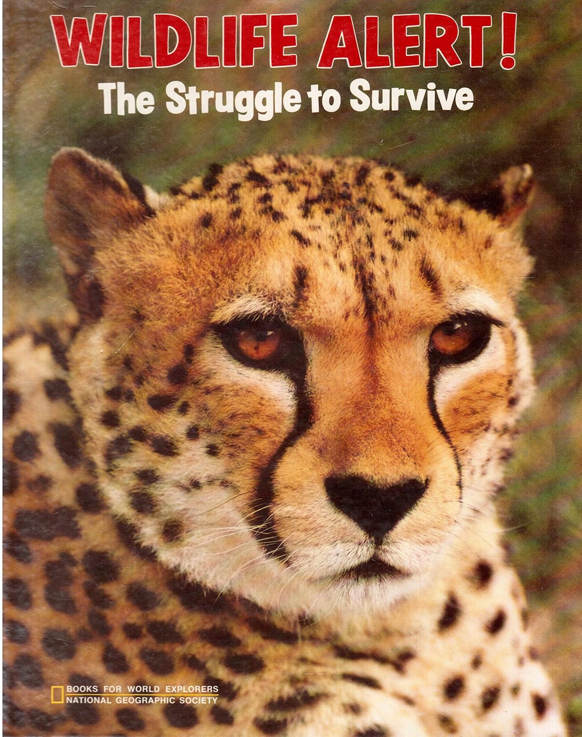 Wildlife Alert: The Struggle to Survive (Books for World Explorers ...