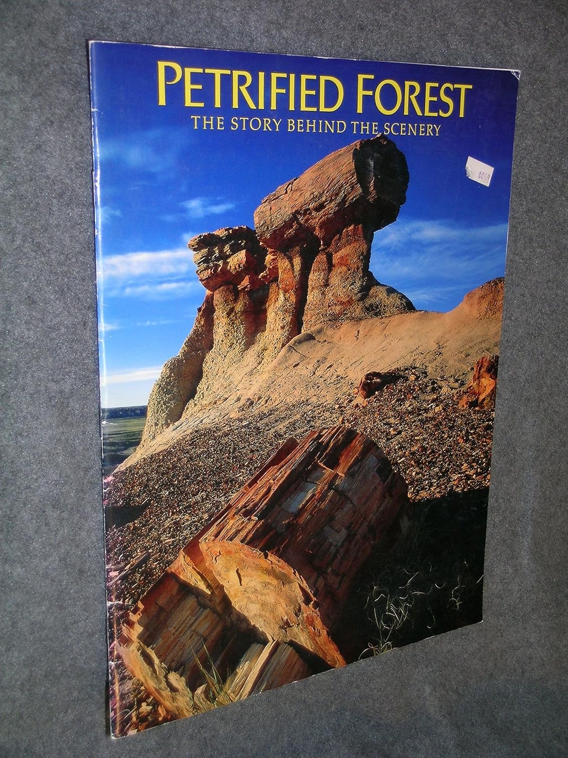 Petrified Forest: The Story Behind the Scenery: Ash, Sidney R ...