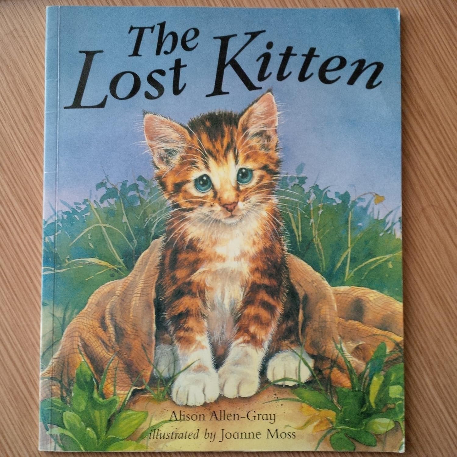 The Lost Kitten: Alison Allen-Gray: 9781905161898: Amazon.com: Books