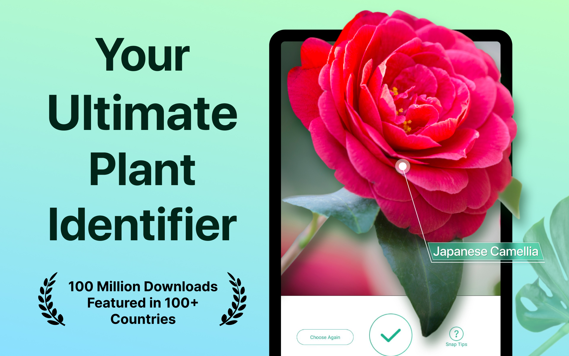 PictureThis - Plant Identifier - App on Amazon Appstore