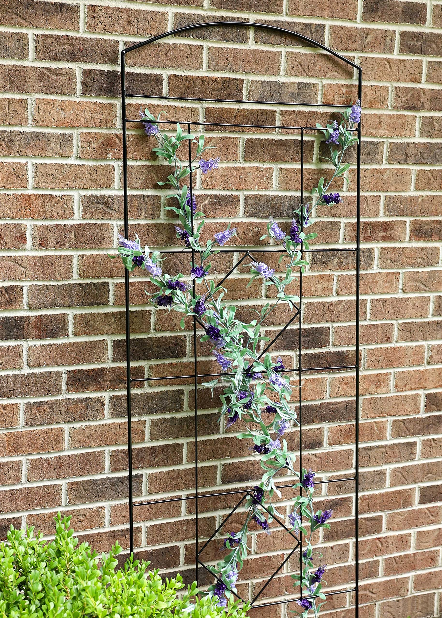 Amazon.com : American Garden Works at Arch Trellis, 65" x 25", Matte ...