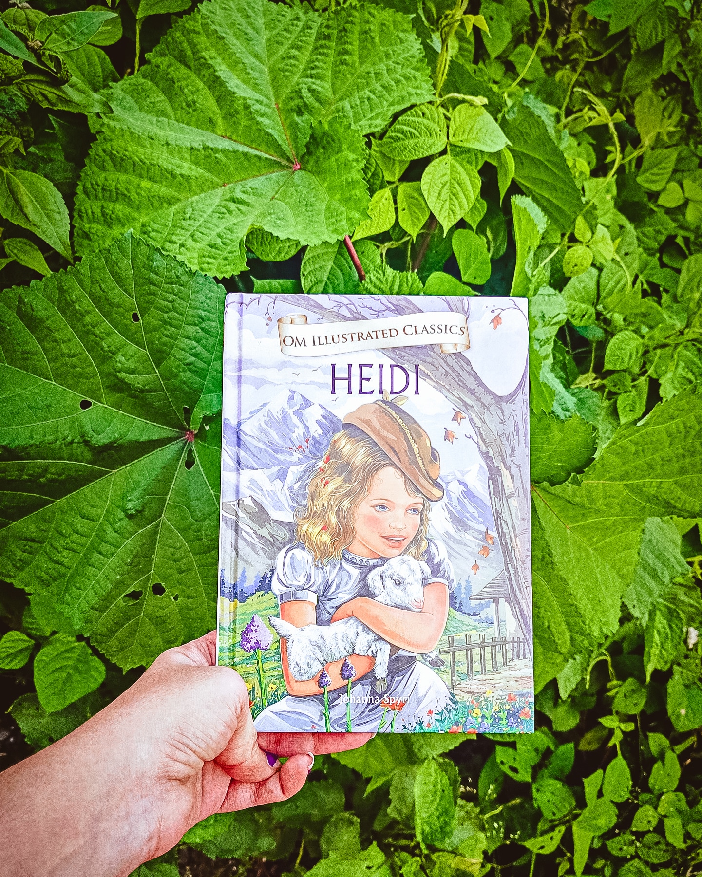 Amazon.in: Buy Heidi Book Online at Low Prices in India | Heidi Reviews ...