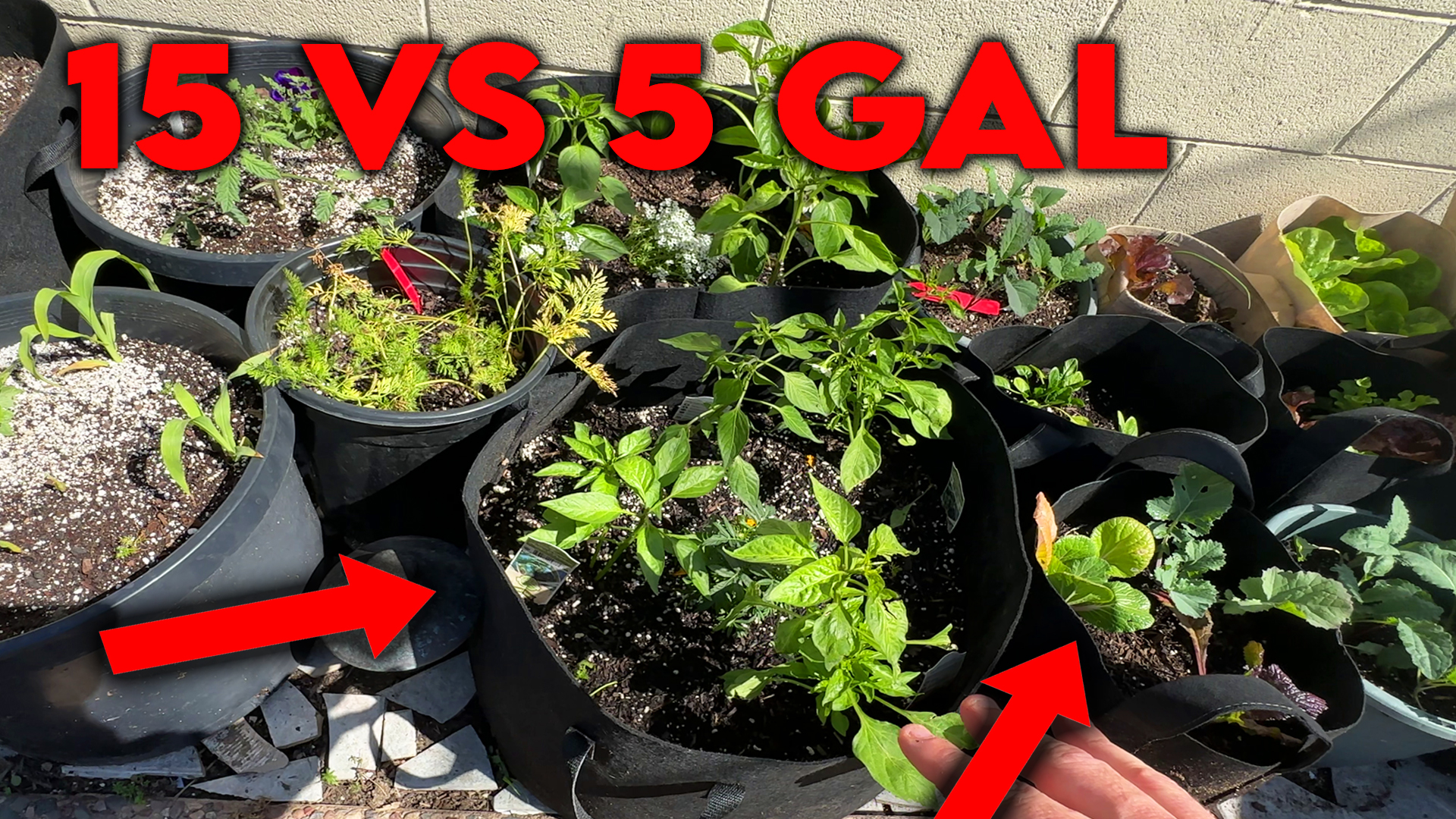 Watch What Size Do You Need? 5 Gal vs 15 Gal Mesh Fabric Pots Bags on ...
