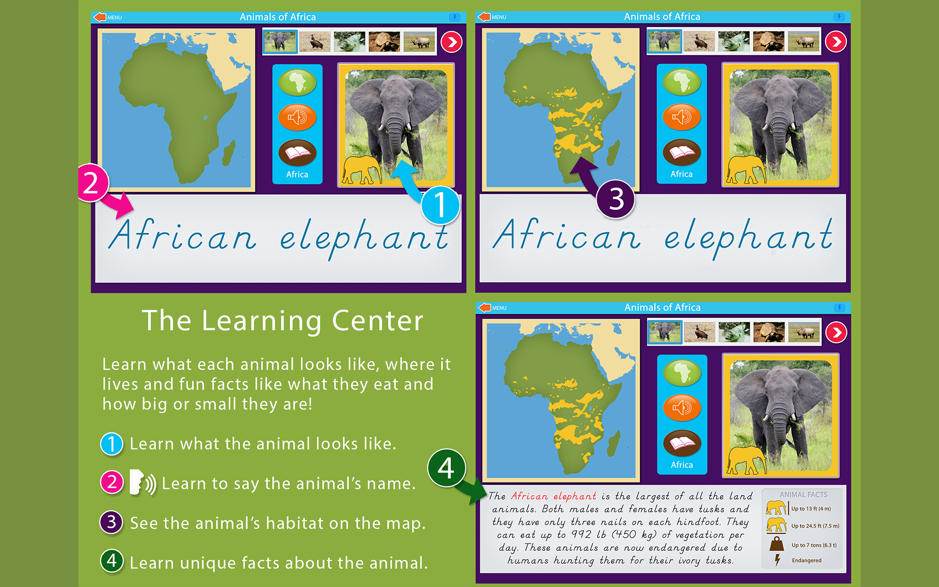 Animals of Africa - Montessori Geography & Science for Kids - App on ...