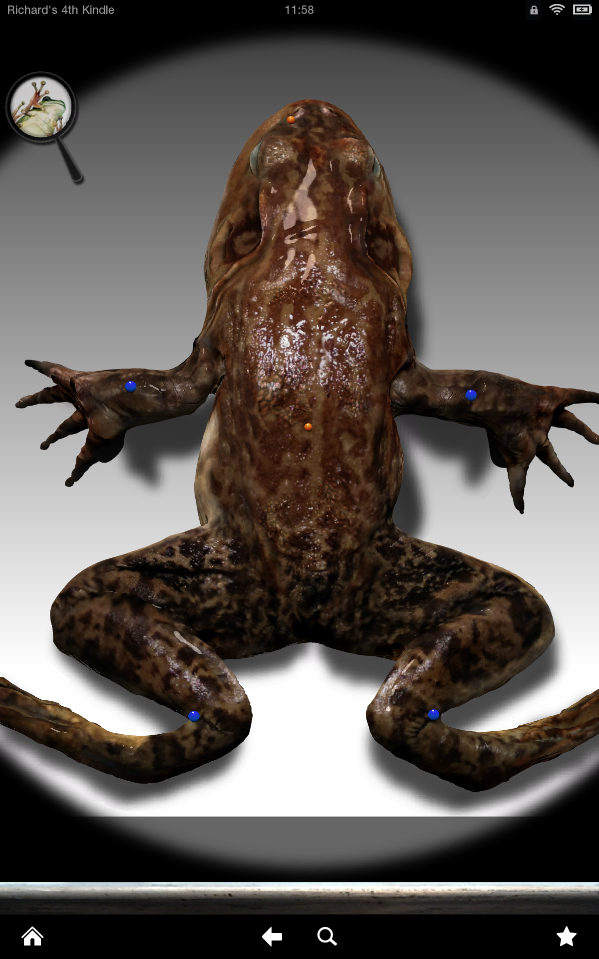 Froguts Frog Dissection (Kindle Fire HDX Tablet Edition) - App on ...