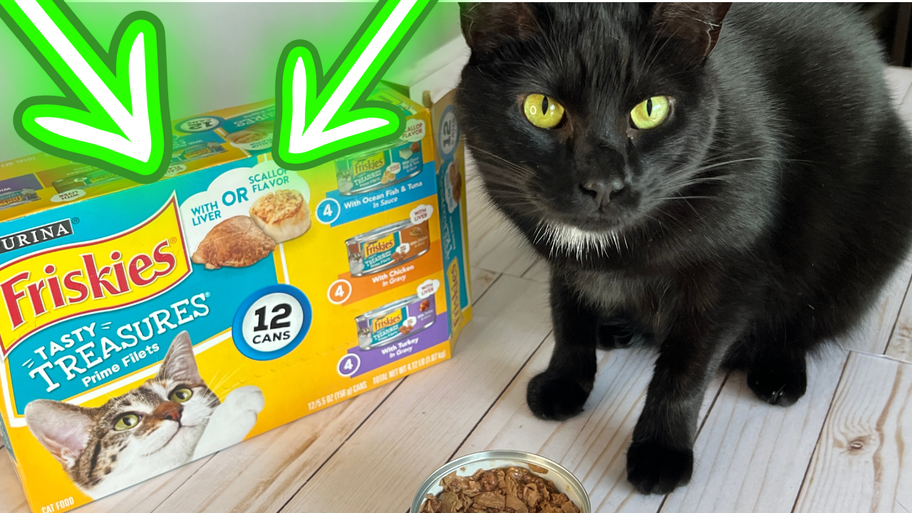 Watch Cat & Human Review of Friskies Variety Pack on Amazon Live