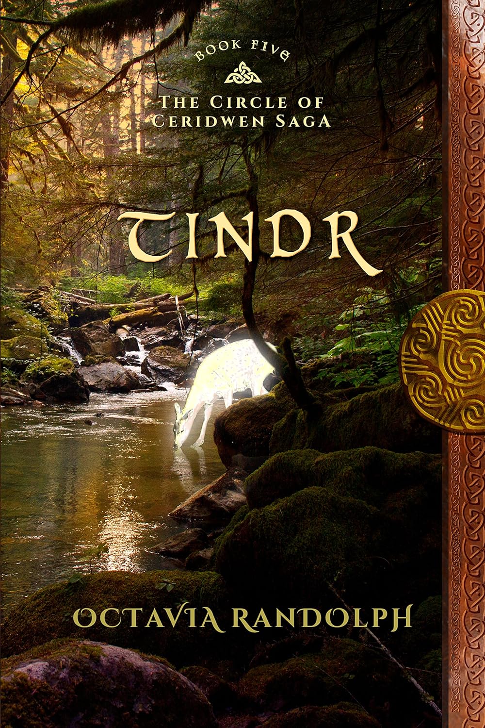 Tindr: Book Five of The Circle of Ceridwen Saga - Kindle edition by ...