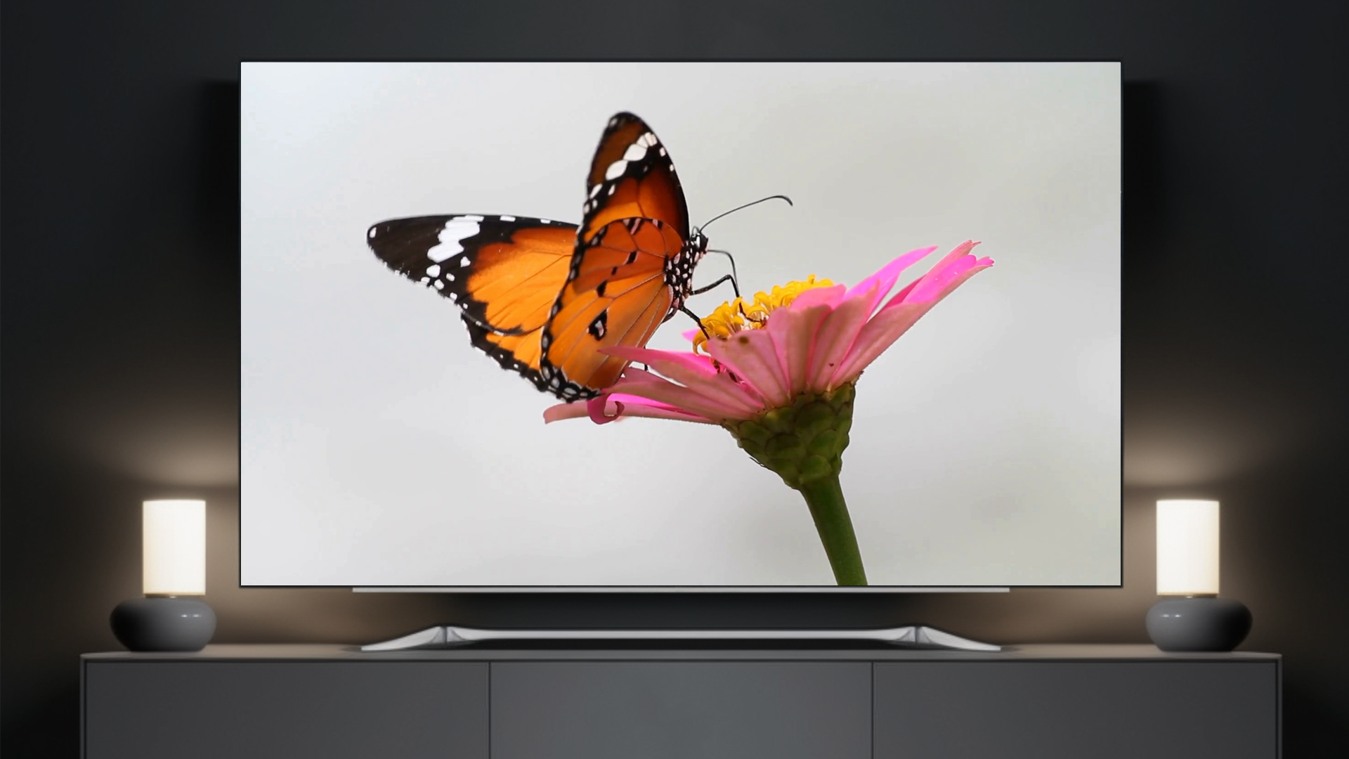 Butterfly Garden Calm – Peaceful Nature Screensaver - App on Amazon ...