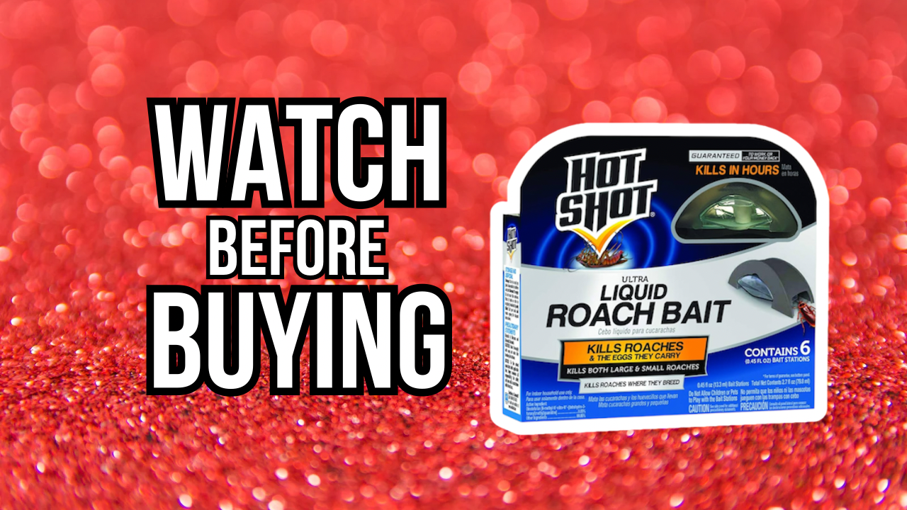 Watch DO NOT BUY Hot Shot Liquid Roach Bait Until You Watch This on ...