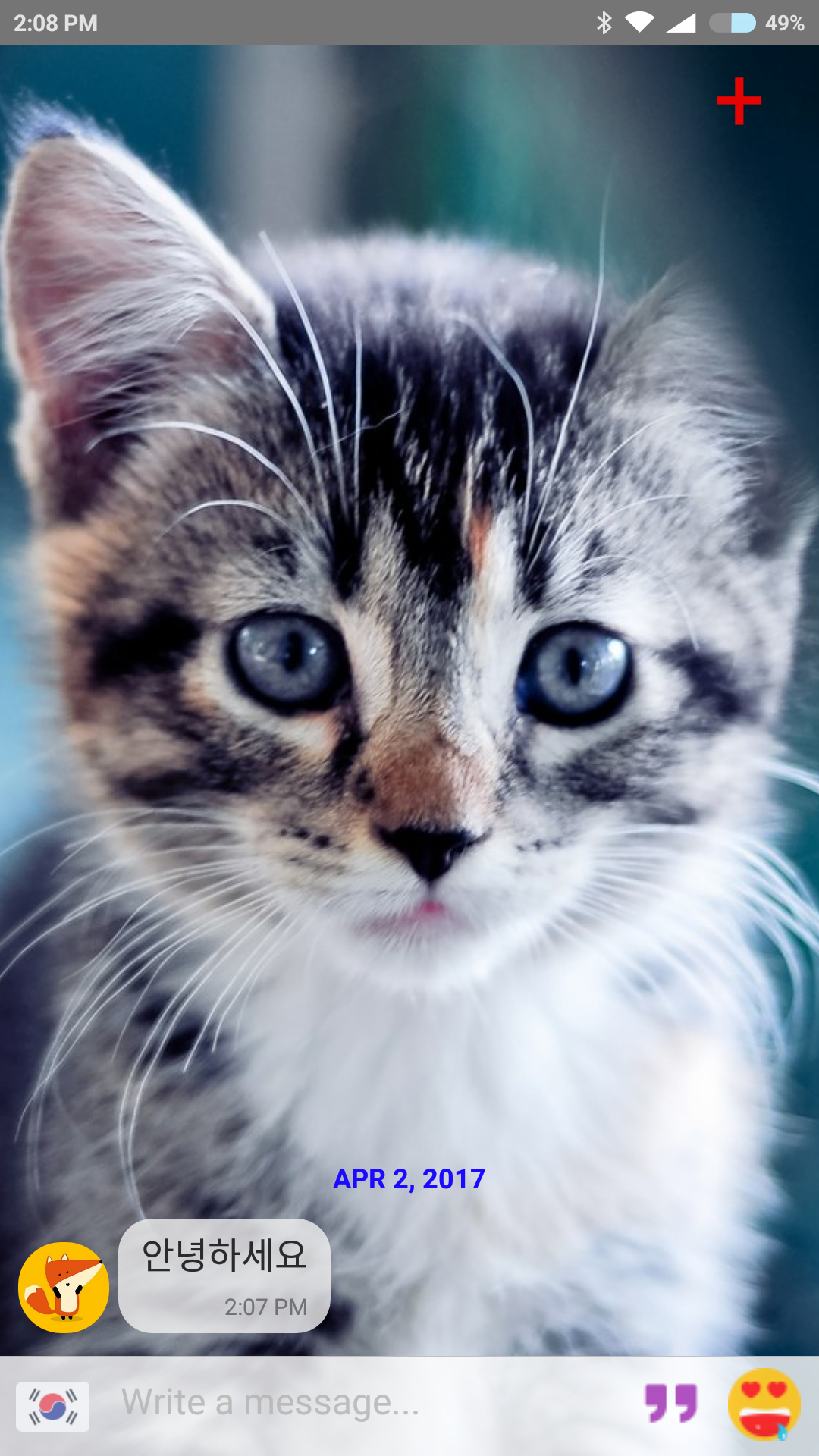 Simi Chat - Cute Fox Say - App on Amazon Appstore