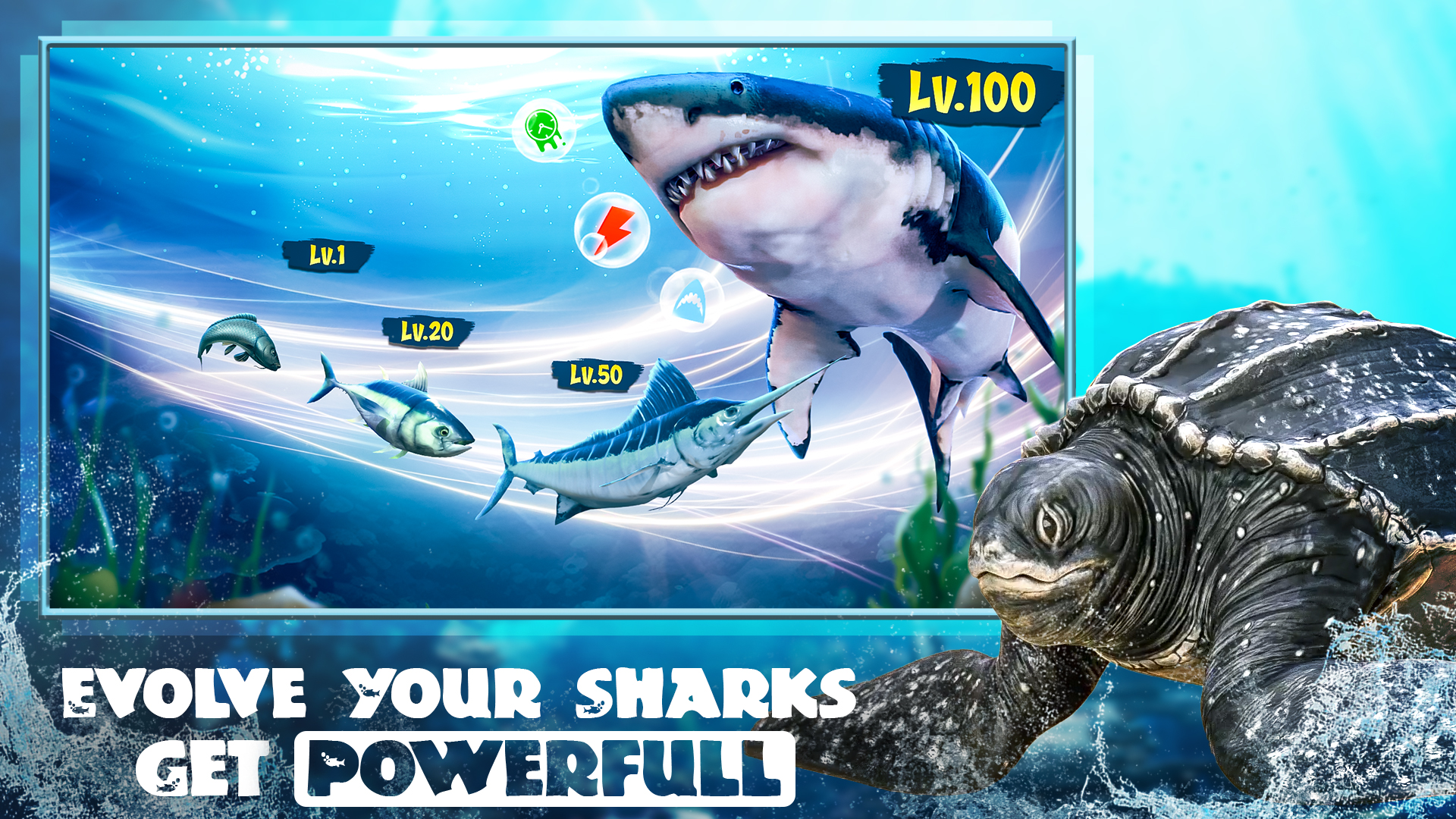 Hungry Shark Attack - Shark Game - App on the Amazon Appstore
